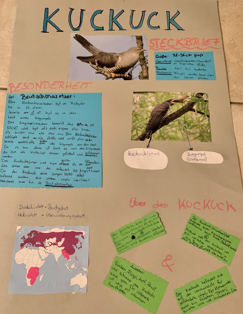 22. Mai: Welttag der biologischen Vielfalt – Hans und Sophie-Scholl ...